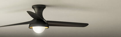 Alora Brand Detail Page