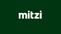 Mitzi Lighting Indoor & Outdoor Lights | Lighting New York