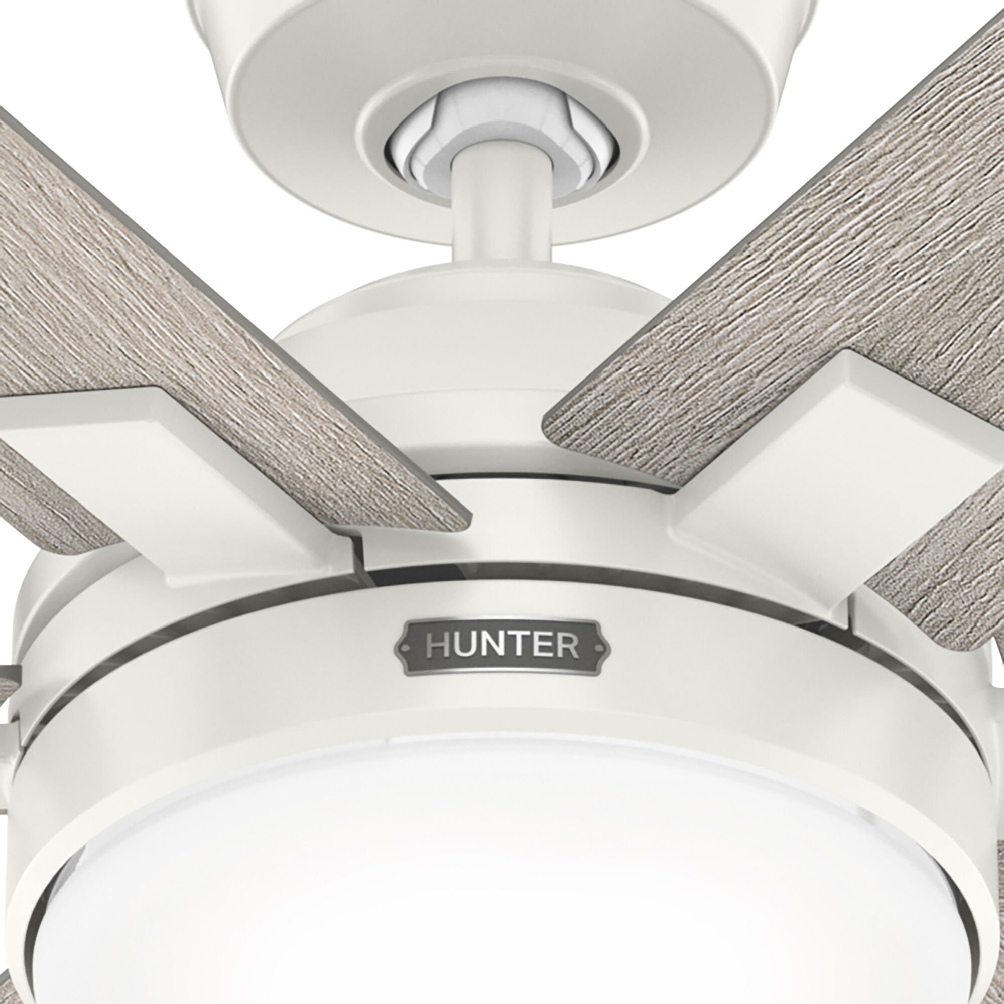 Hunter Fan 51880 Georgetown 52 inch Fresh White with Light Gray Oak ...