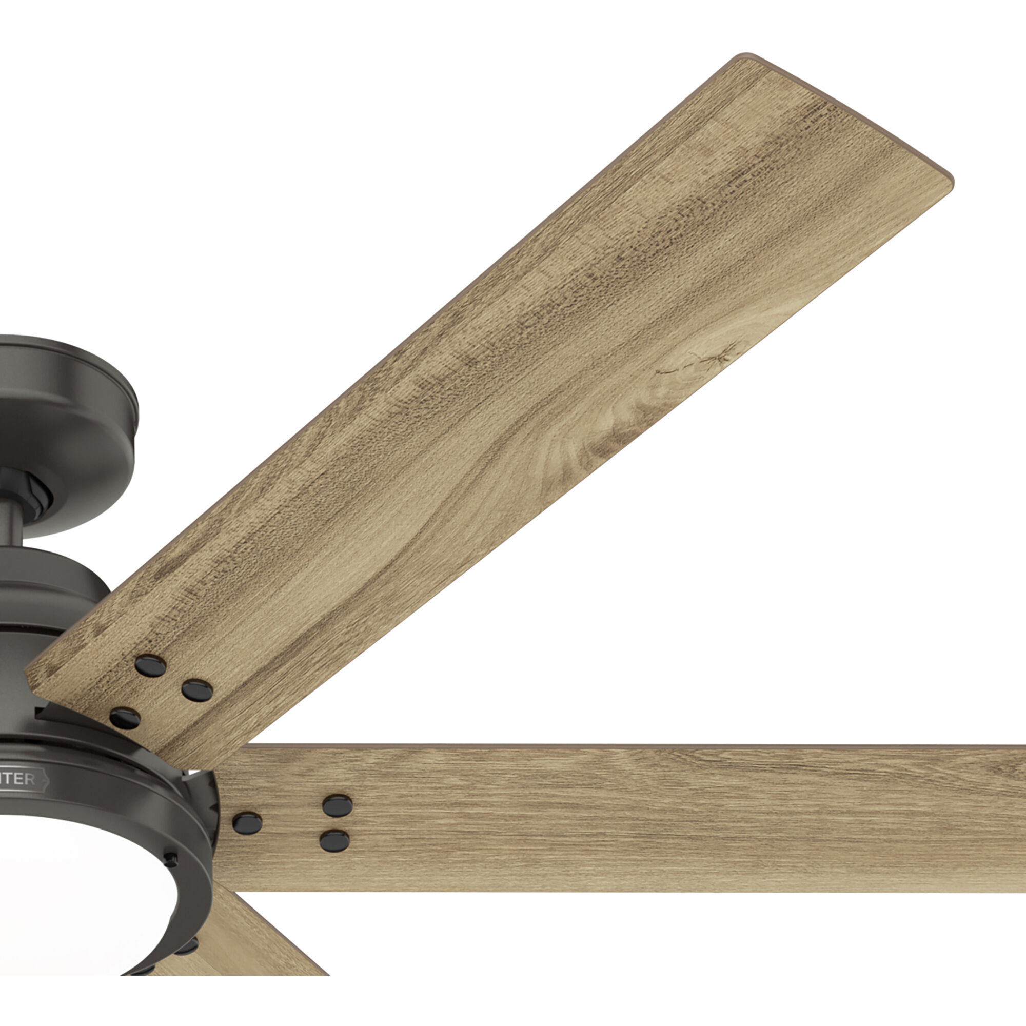 Hunter Fan 51885 Gravity 60 inch Noble Bronze with Golden Maple Blades ...