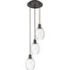 Ballston Preston 3 Light 12.75 inch Oil Rubbed Bronze Multi Pendant ...