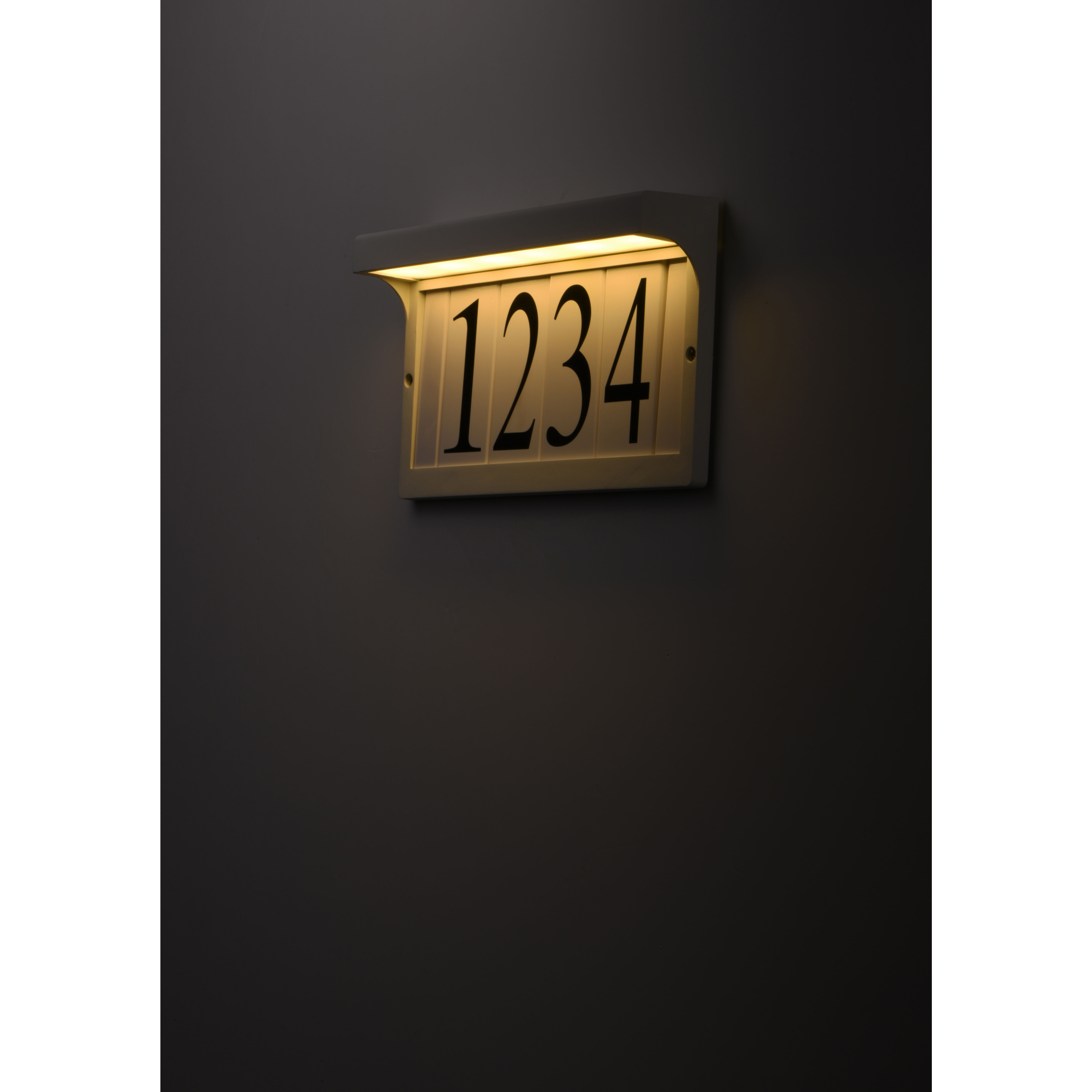 Maxim 53610WT Address LED 7 inch White Address Light Frame