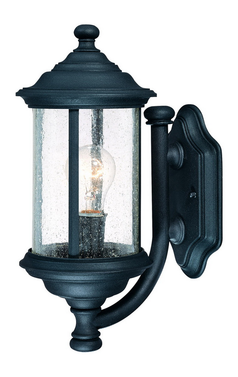 Dolan Designs Walnut Grove 1 Light Exterior Wall Lantern in Black 915-50