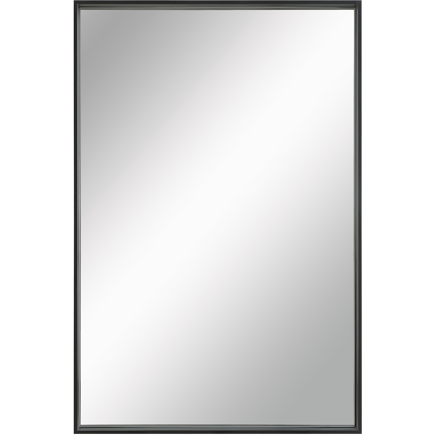 Renwil MT2536 Annalise 45 X 30 inch Clear and Matte Black Wall Mirror