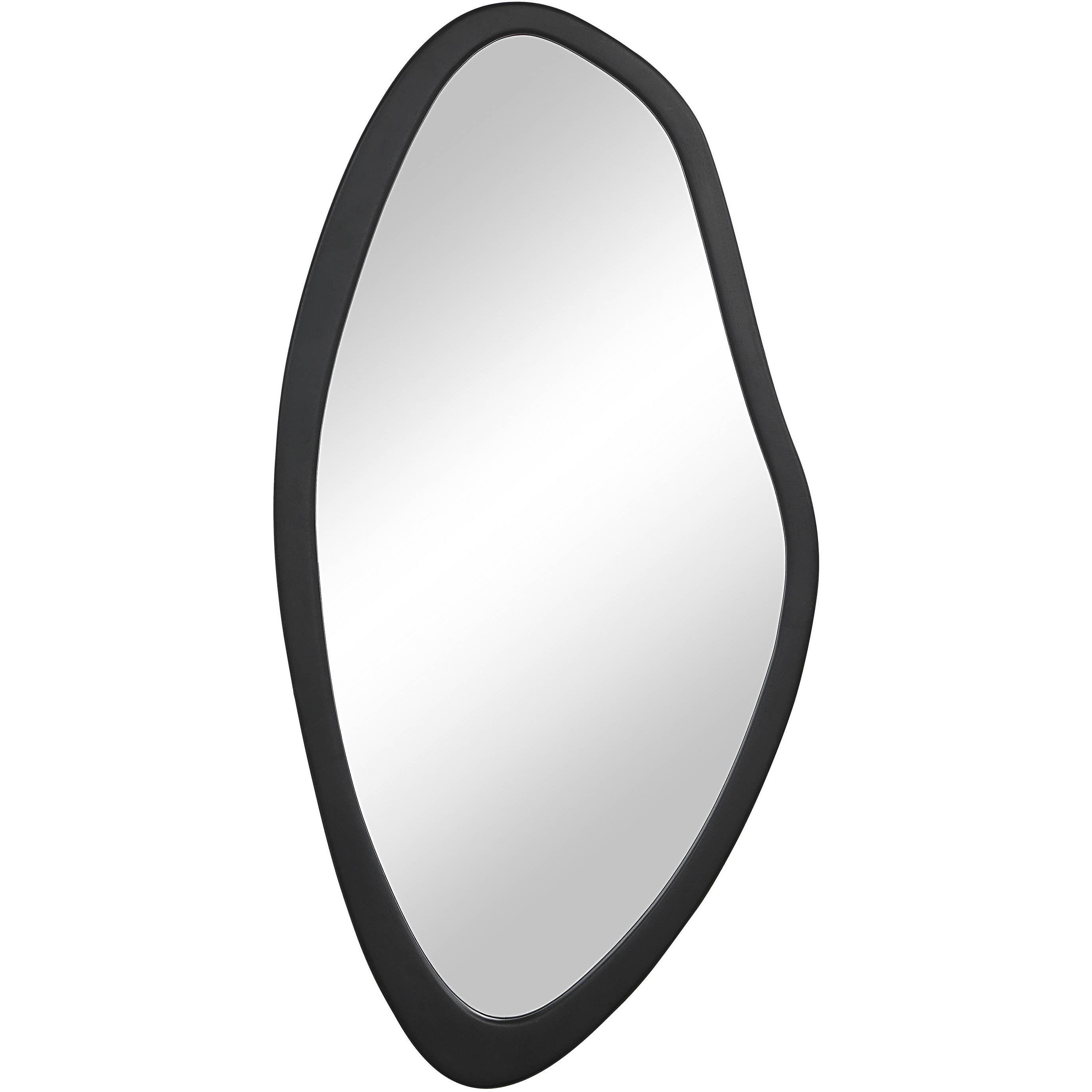 Renwil MT2702 Trani 40 X 19.75 inch Matte Black Wall Mirror