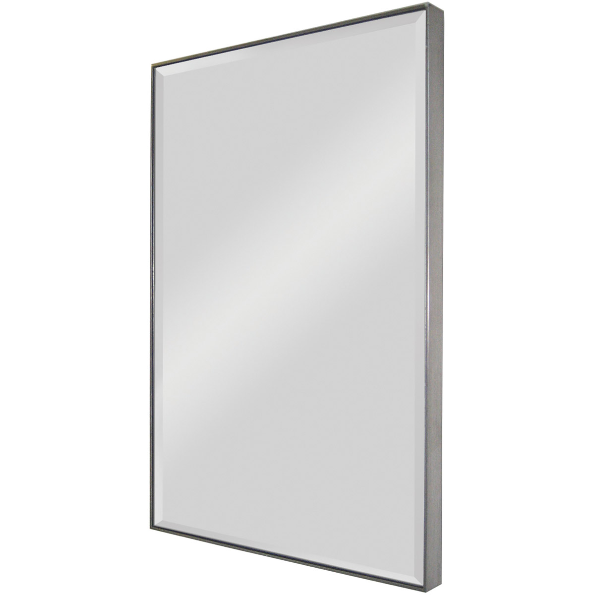 Renwil MT785 Onis 36 X 25 inch Silver Wall Mirror