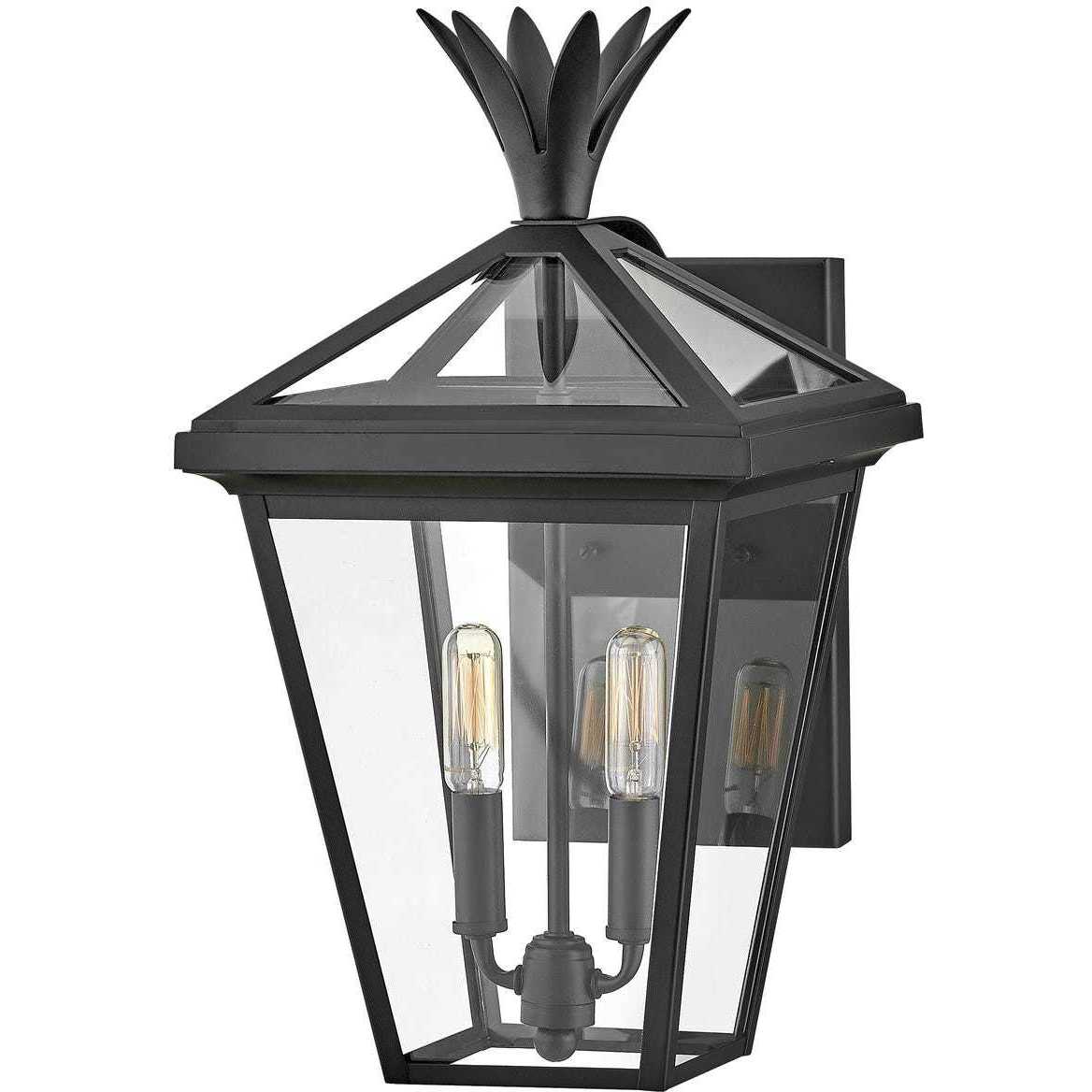 Hinkley 26094BK Palma Outdoor Wall Mount Lantern in Black