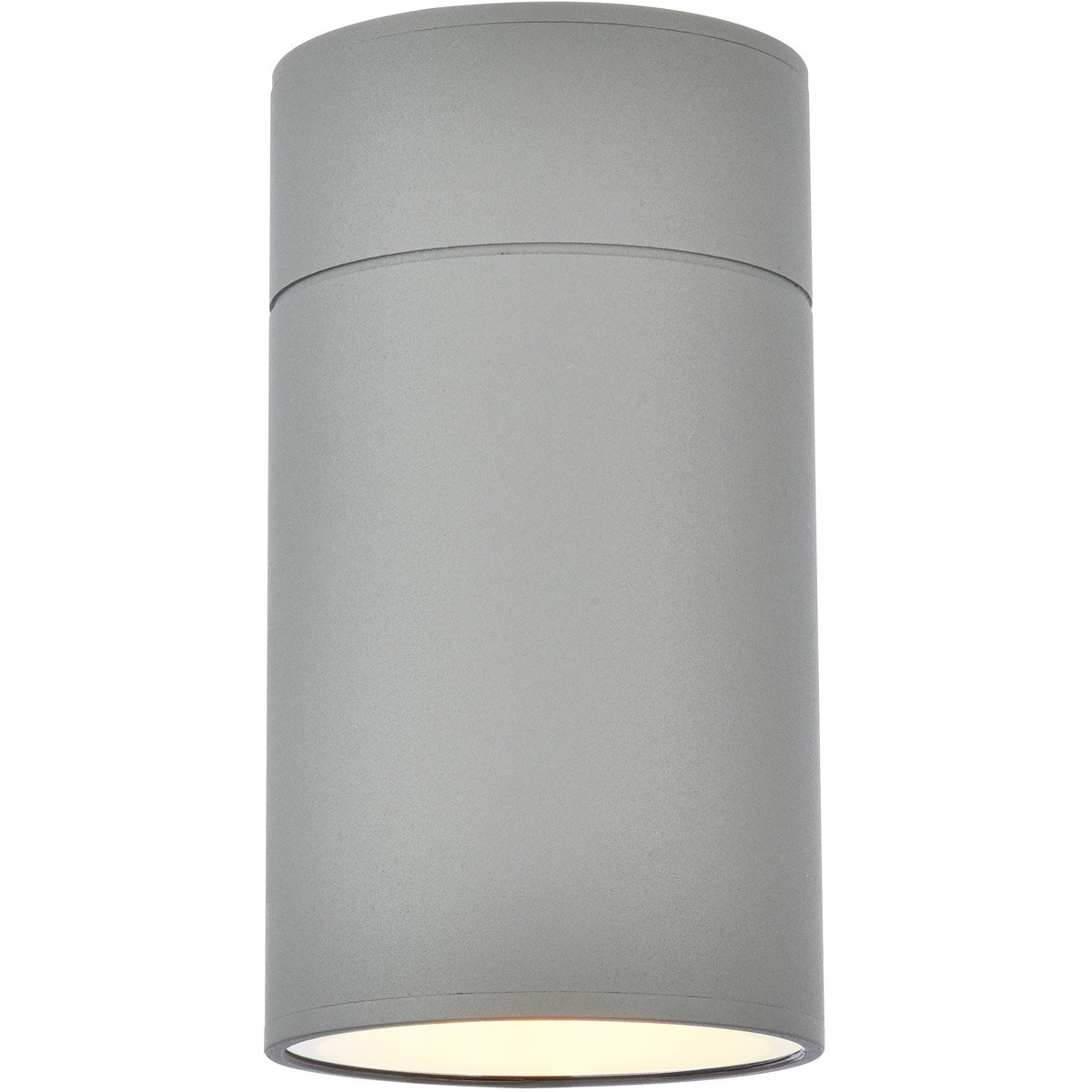 Raine 1 Light 7.88 inch Silver Outdoor Wall Light